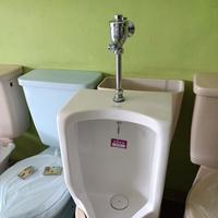 Jual Urinoir Toto Terbaik - Harga Murah Juli 2025 & Cicil 0%