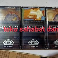 Jual Magnum Filter 12 Terbaik - Harga Murah Oktober 2022 & Cicil 0%