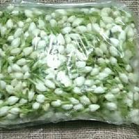 Jual Bunga Segar Terlengkap - Harga Murah & Grosir April 2024