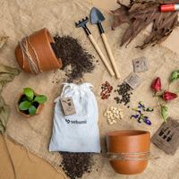 Jual Starter Nata De Coco Terdekat - Harga Murah & Grosir April 2024