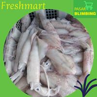 Jual Cumi Cumi Segar Terdekat - Harga Murah & Grosir Mei 2024