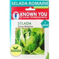 Selada Harga Termurah - Pilihan Favorit