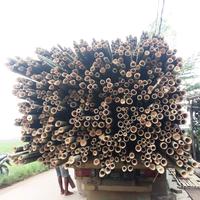 Jual Bambu Batangan Terbaik - Harga Murah Mei 2024 & Cicil 0%