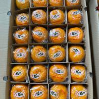 Jual Jeruk Ponkam Terdekat - Harga Murah & Grosir Februari 2024