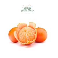 Jual Jeruk Ponkam Terdekat - Harga Murah & Grosir Februari 2024