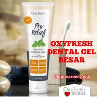 Oxyfresh Dental Gel dari Bahan Alami Juni 2024