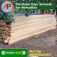 Jual Kayu Kaso 4X6 Terbaik - Harga Murah Juni 2024 & Cicil 0%