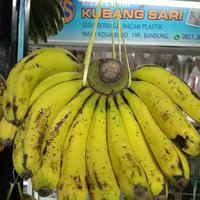 Pisang Ambon Segar & Manis, Harga Termurah! 2024