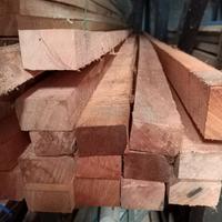 Jual Kayu Kaso 4X6 Terbaik - Harga Murah Juni 2024 & Cicil 0%