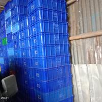 Jual Box Container Rabbit Terbaik - Harga Murah Mei 2024 & Cicil 0%