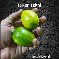 Jual Lemon 1 Kg Terdekat - Harga Murah & Grosir Januari 2025