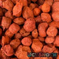 Jual Kiamboy Terdekat - Harga Murah & Grosir Januari 2025