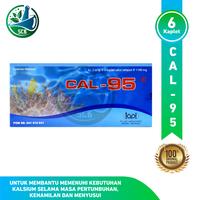 Jual Vitamin Cal 95 Murah - Harga Terbaru Mei 2024