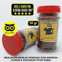Jual Makanan Gecko Terlengkap & Terbaik - Harga Murah April 2024