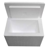 Jual Cooler Box Styrofoam Terlengkap - Harga Terbaru Februari 2023 ...