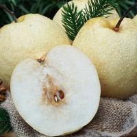 Pir Madu Harga Termurah - Pilihan Favorit