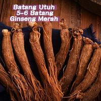 Jual Ginseng Merah Korea Terdekat - Harga Murah & Grosir Mei 2024