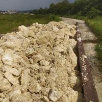 Jual Limestone Terlengkap - Harga Murah Agustus 2025