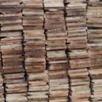 Jual Papan Cor Terbaru - Harga Murah Mei 2025 & Cicil 0%