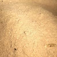 Jual Dedak Terlengkap & Terbaik - Harga Murah Oktober 2025