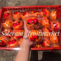 Jual Jeruk Ponkam Terdekat - Harga Murah & Grosir Mei 2025