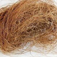 Jual Serabut Kelapa Terbaik - Harga Murah Januari 2025 & Cicil 0%
