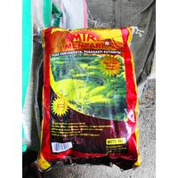 Jual Beras Mentari Terdekat - Harga Murah & Grosir Juni 2024