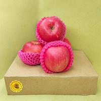Apel Fuji Harga Termurah - Pilihan Favorit