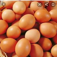 Jual Telor 1 Kg Terdekat - Harga Murah & Grosir Desember 2024
