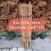 Jual Ijuk Murah & Terbaik - Harga Terbaru Maret 2025