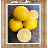 Jual Lemon 1 Kg Terdekat - Harga Murah & Grosir Februari 2024