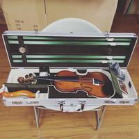 Jual Violin Terlengkap - Harga Murah Agustus 2025