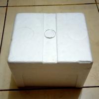 Jual Box Styrofoam Kecil Terbaik - Harga Murah April 2024 & Cicil 0%