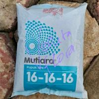 Jual Pupuk Npk Mutiara 1 Kg Terbaik - Harga Murah Juni 2024 & Cicil 0%