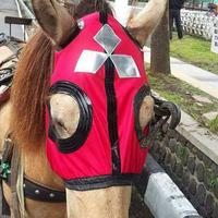 Jual Topeng Kuda Terlengkap - Harga Murah & Grosir Mei 2024