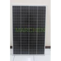 Jual Ica Solar Panel Terbaik - Harga Murah Juni 2024 & Cicil 0%