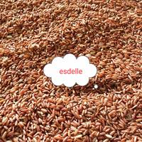 Beras Merah Harga Termurah - Pilihan Favorit