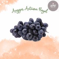 Jual Anggur Autumn Royal Terdekat - Harga Murah & Grosir Juni 2023