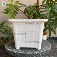 Jual Box Tanaman Murah & Terbaik - Harga Terbaru Januari 2025