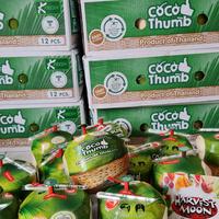 Jual Coco Thumb Terlengkap - Daftar Harga Maret 2024 & Cicilan 0%