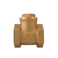Jual Check Valve 1 Inch Terbaik - Harga Murah Maret 2024 & Cicil 0%