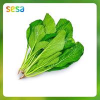 Jual Caisim Sayur Terdekat - Harga Murah & Grosir Maret 2024
