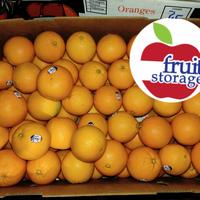 Jual Jeruk 1kg Murah - Harga Terbaru 2024