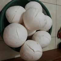 Jual Kelapa Parut Segar Terlengkap - Harga Terbaru Desember 2024 & Cicilan 0%