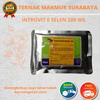 Jual Introvit Terlengkap & Terbaik - Harga Murah Oktober 2025