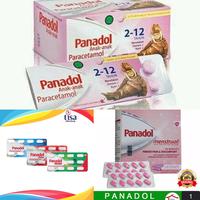 Review Panadol Paracetamol 500mg Regular Biru Hijau Merah - Biru ...