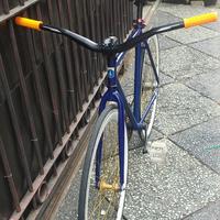 Jual Sepeda Fixie Second Murah & Terbaik - Harga Terbaru Mei 2024