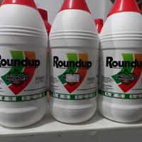 Jual Roundup 1 Liter Murah & Terbaik - Harga Terbaru April 2025