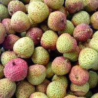 Buah Leci Segar Terbaik & Terbaru Juni 2024 - Harga Murah