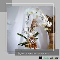 Jual Hampers Anggrek Murah - Harga Terbaru 2024